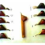 Apa Itu Isen Isen Batik? Mengenal Jenis Isen-Isen Pada Motif Batik